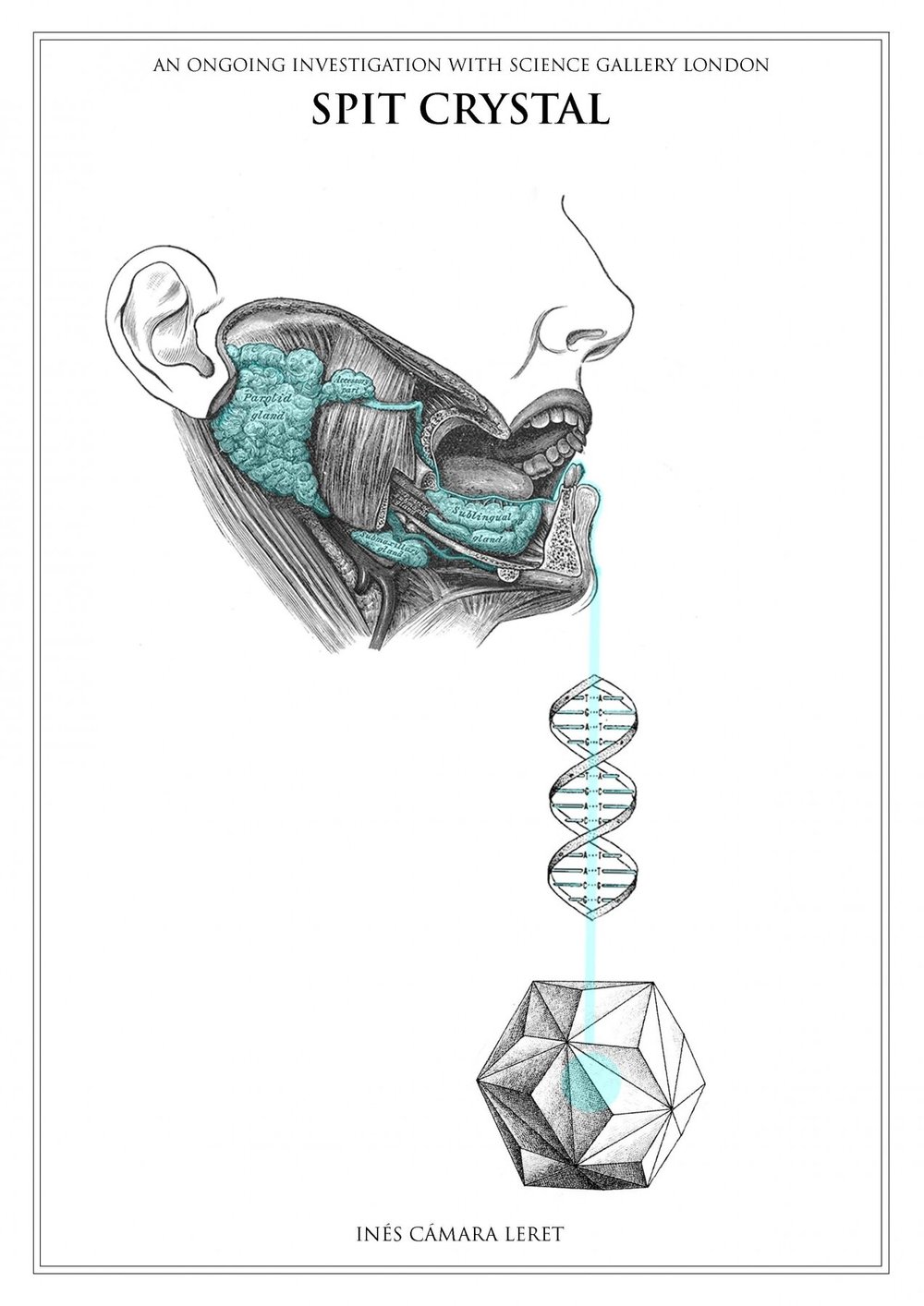 Spit Crystal: Artist Inés Cámara Leret explains why she's crystallising ...