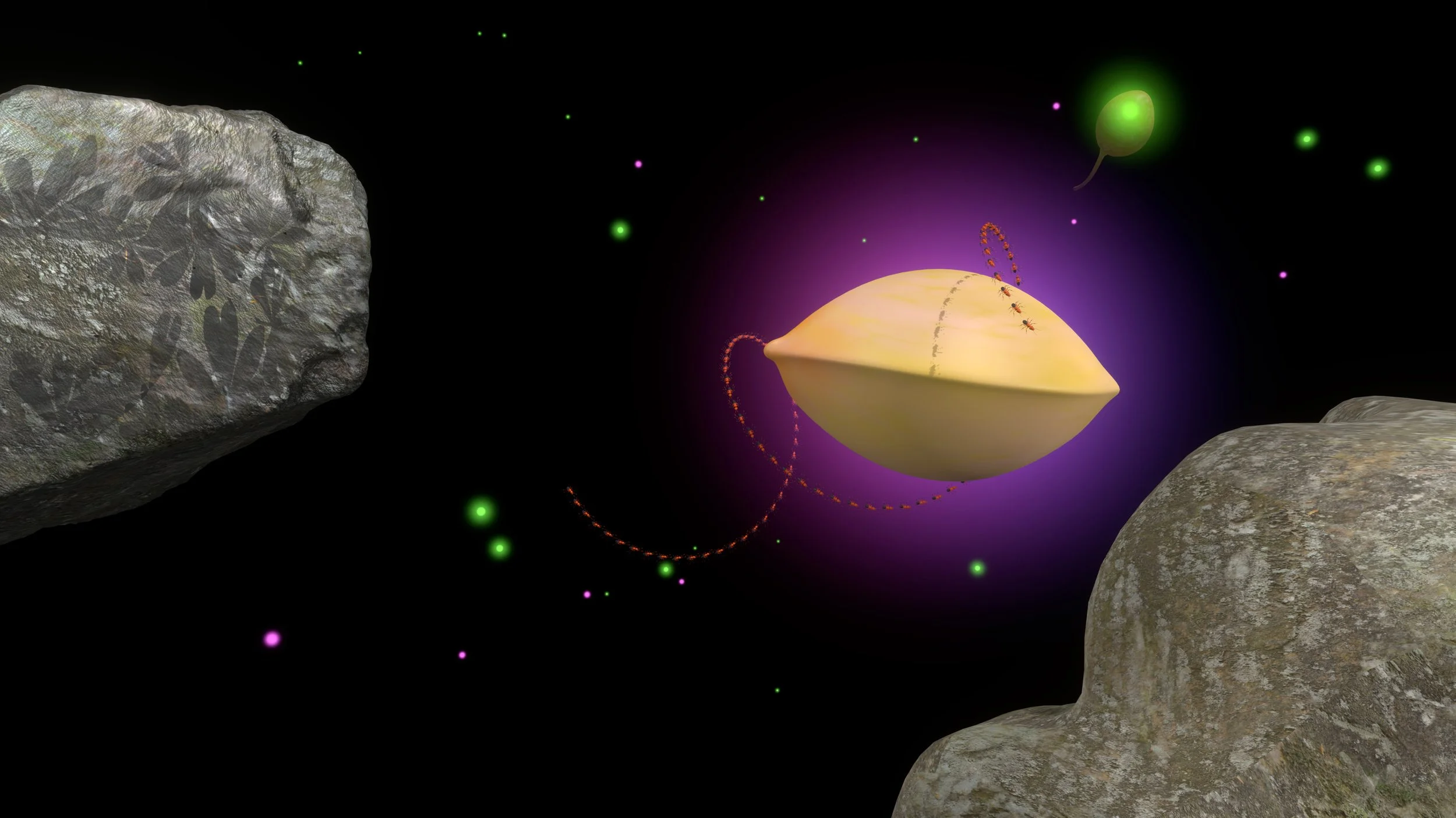 Tang Han: Ginkgo and Other Times — Science Gallery London