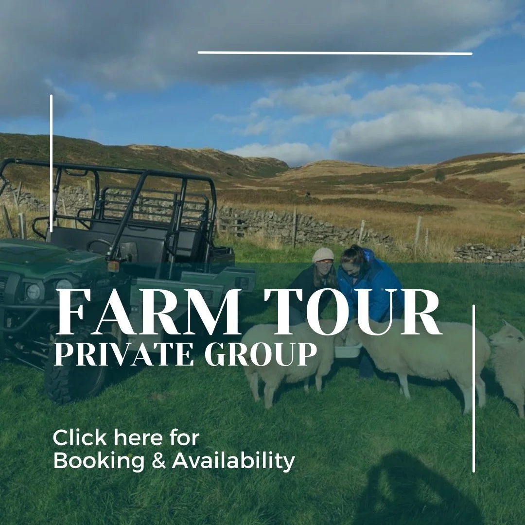 Farm Tours — Nether Glenny Farm