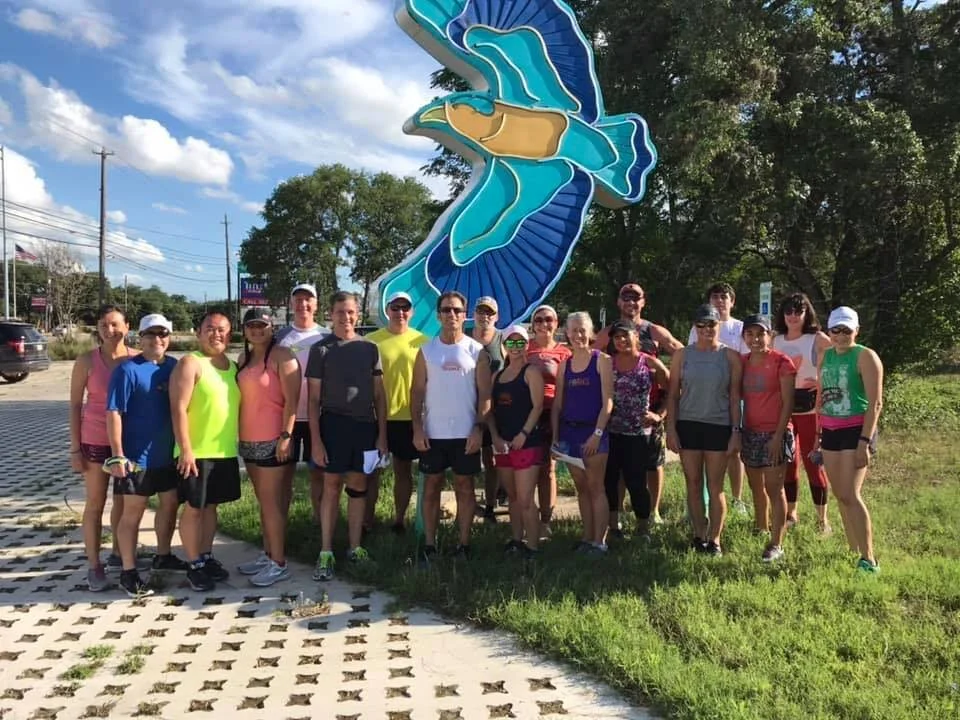 The Sparks — Rogue Running