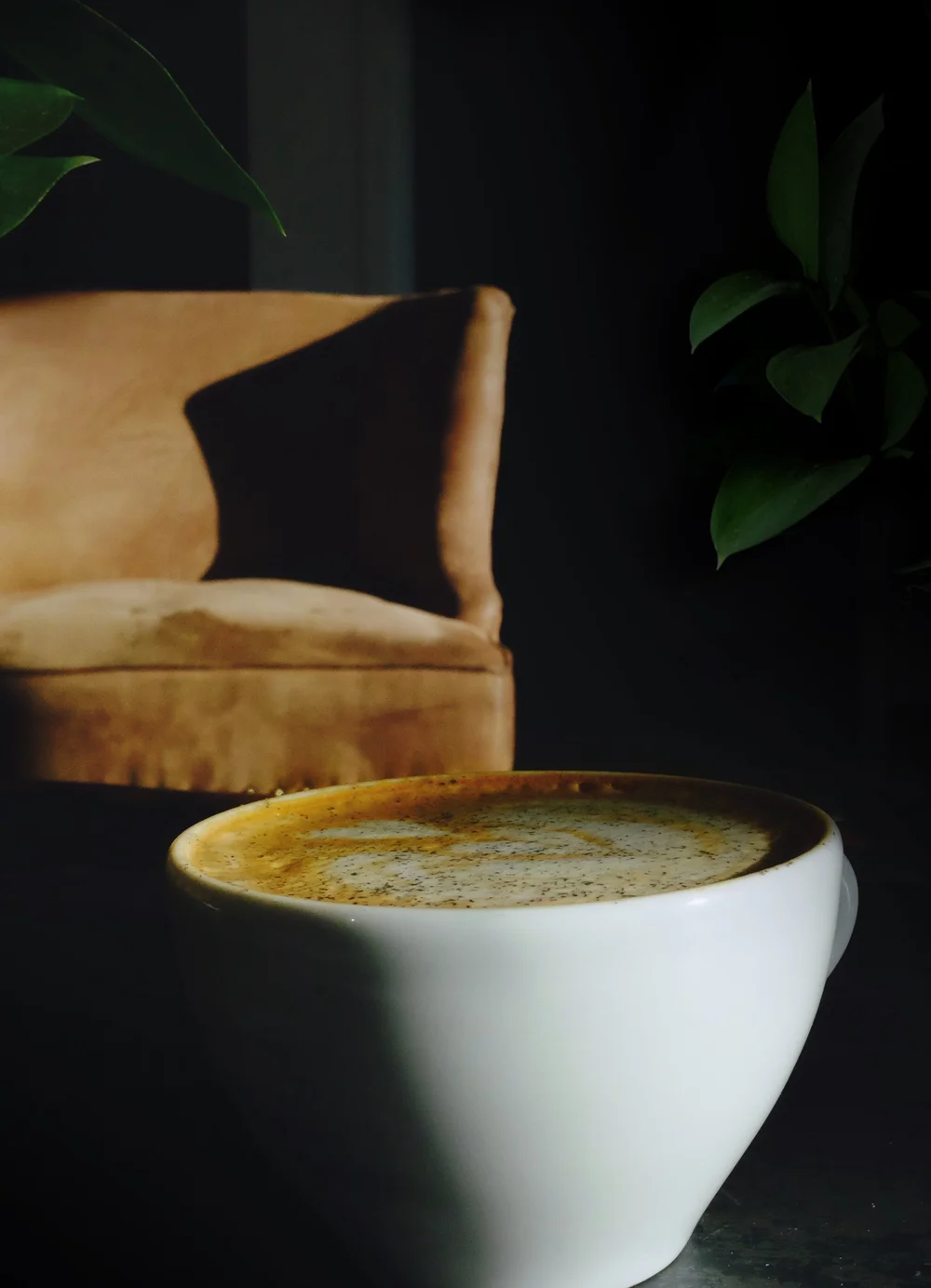 Tempest Coffee Collective