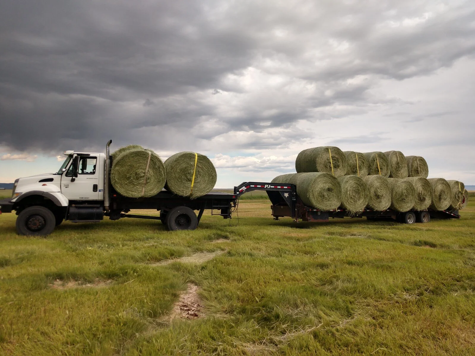 Hay Sales — All Around Ag