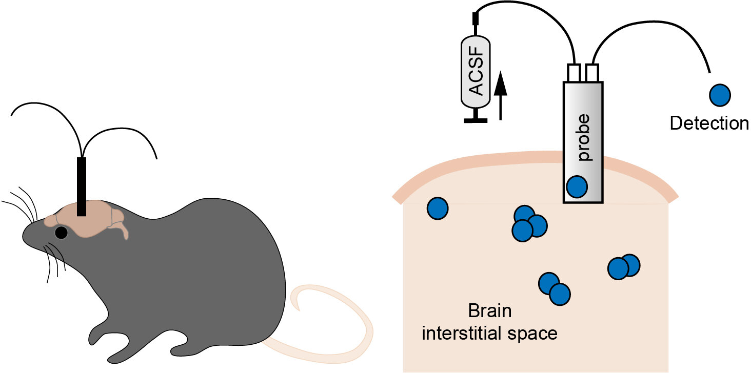 Approaches & Techniques — Castellano Laboratory