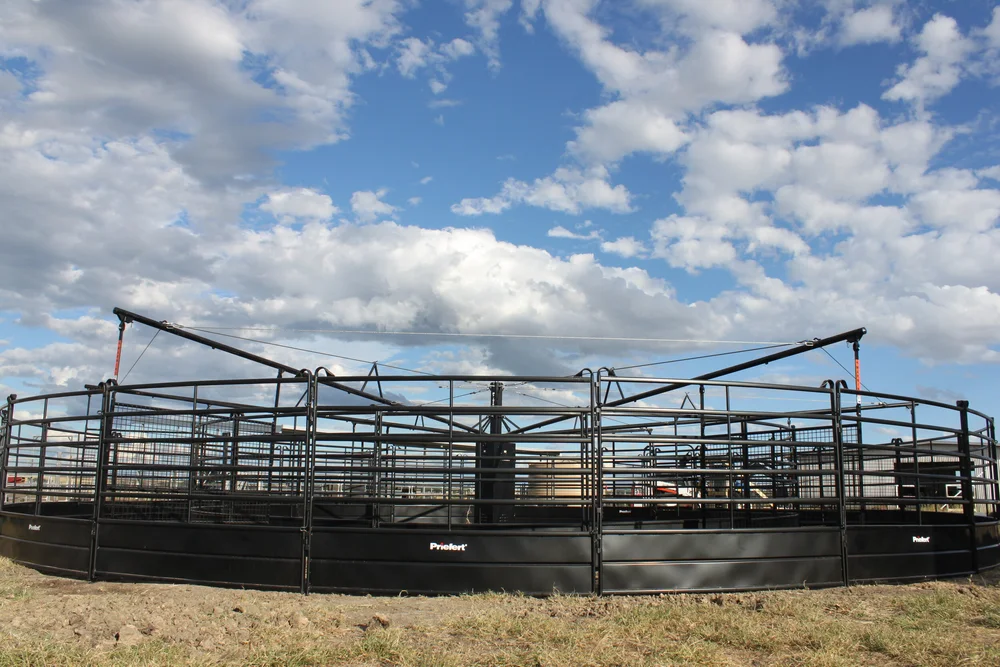 Horse Walkers — Ranch Works Inc.