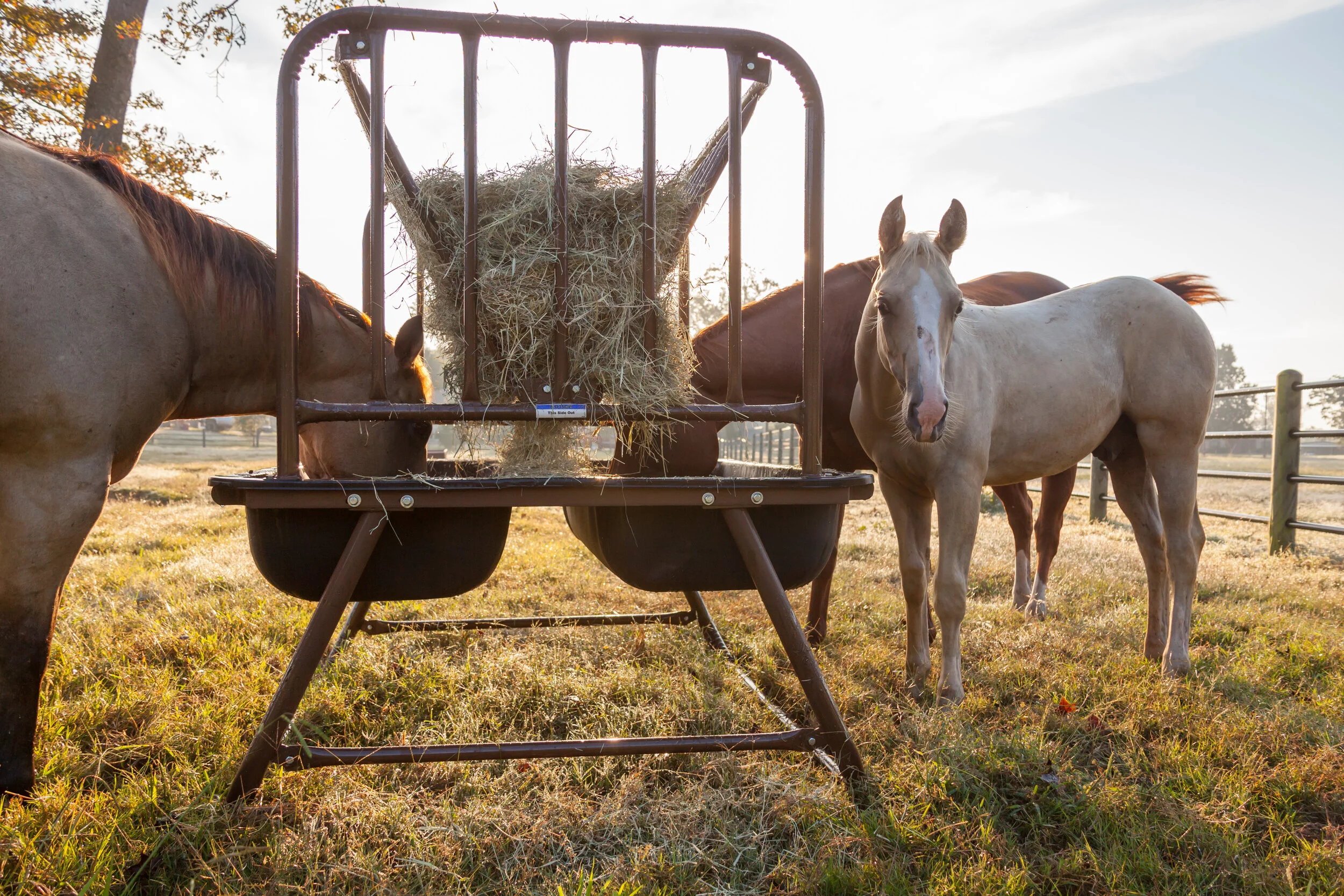 Horse Feeders — Ranch Works Inc.