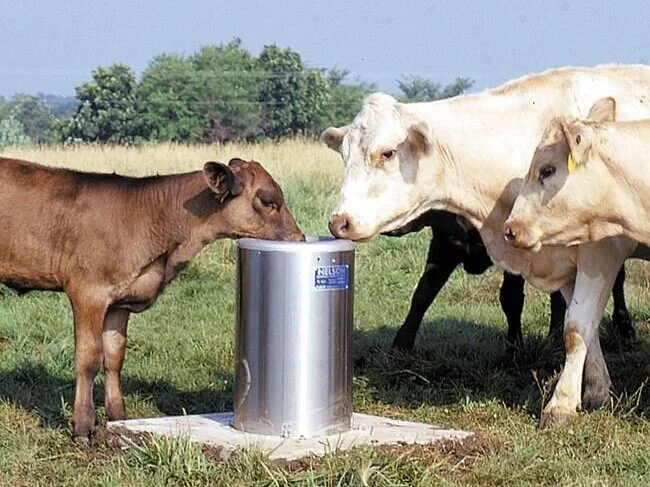 Nelson Automatic Waters — Ranch Works Inc.