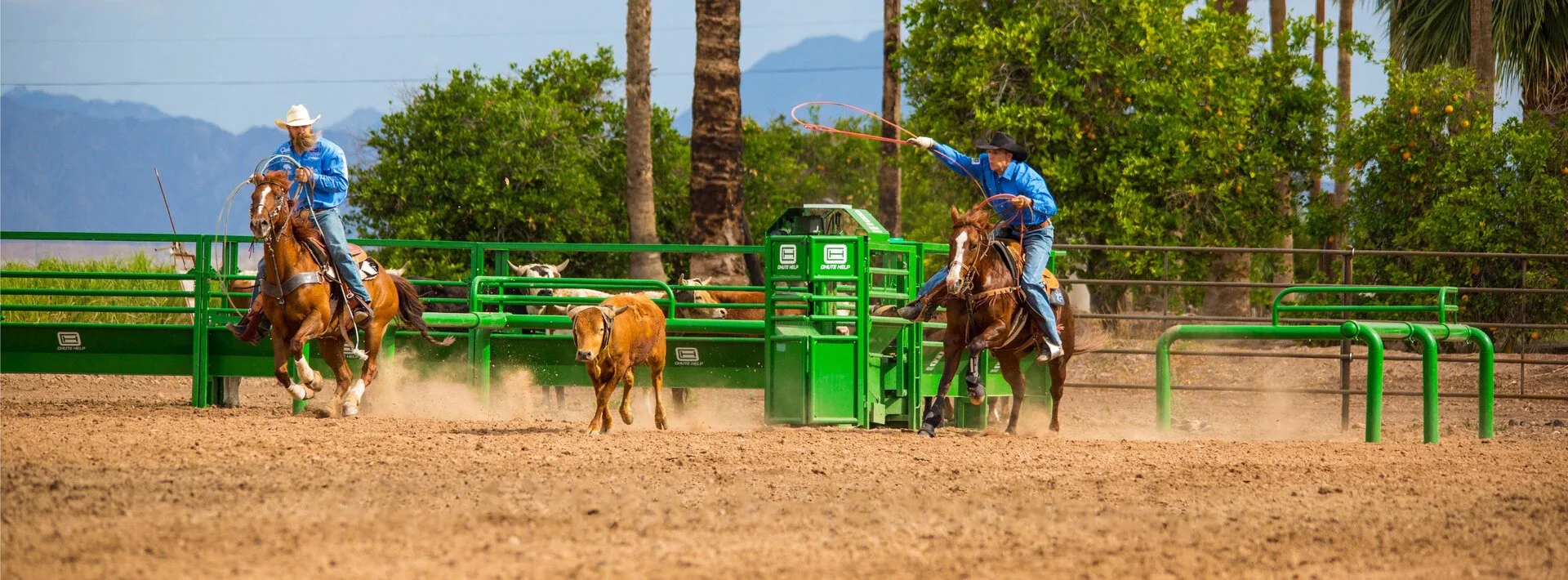 Chute Help Roping Equipment — Ranch Works Inc.