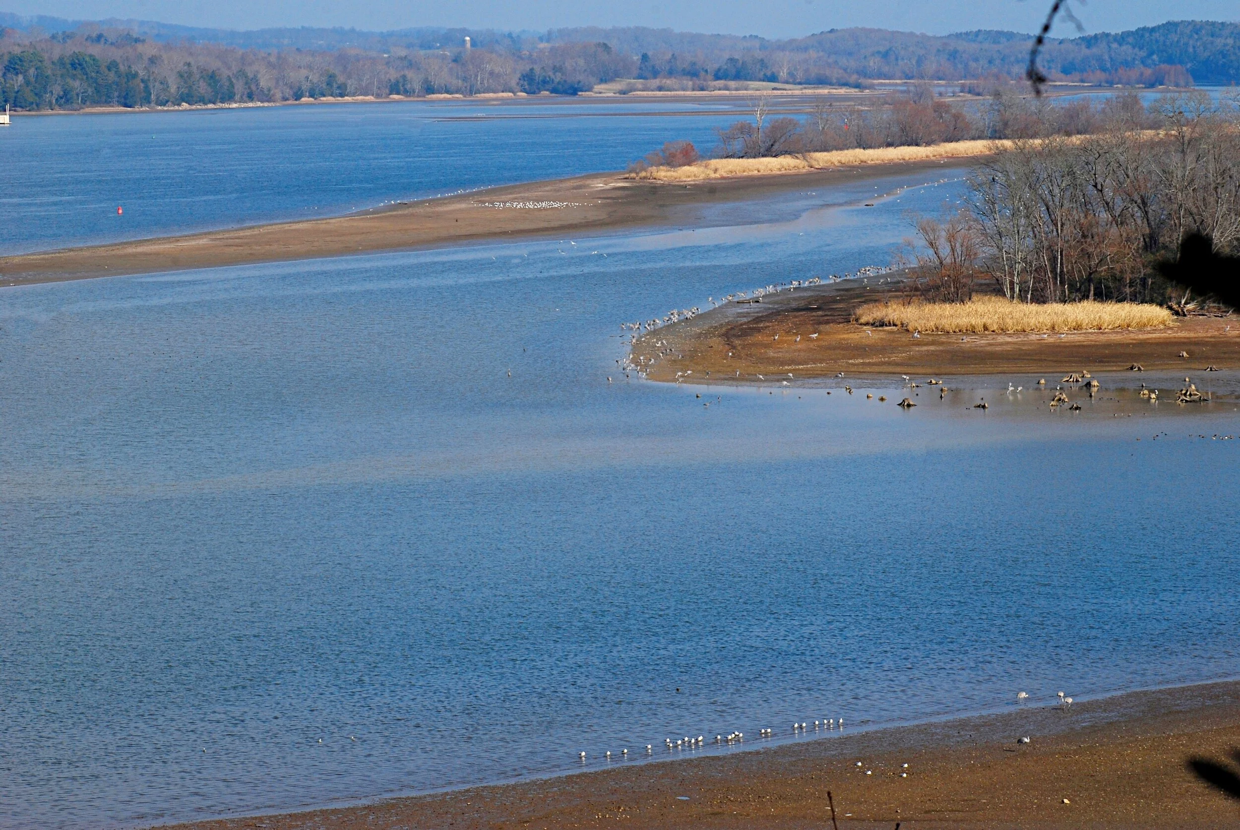 Cherokee Removal Memorial Park
