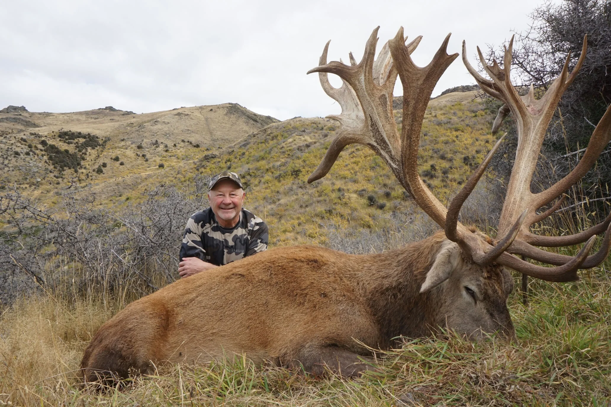 Red Stag — Exclusive Adventures New Zealand