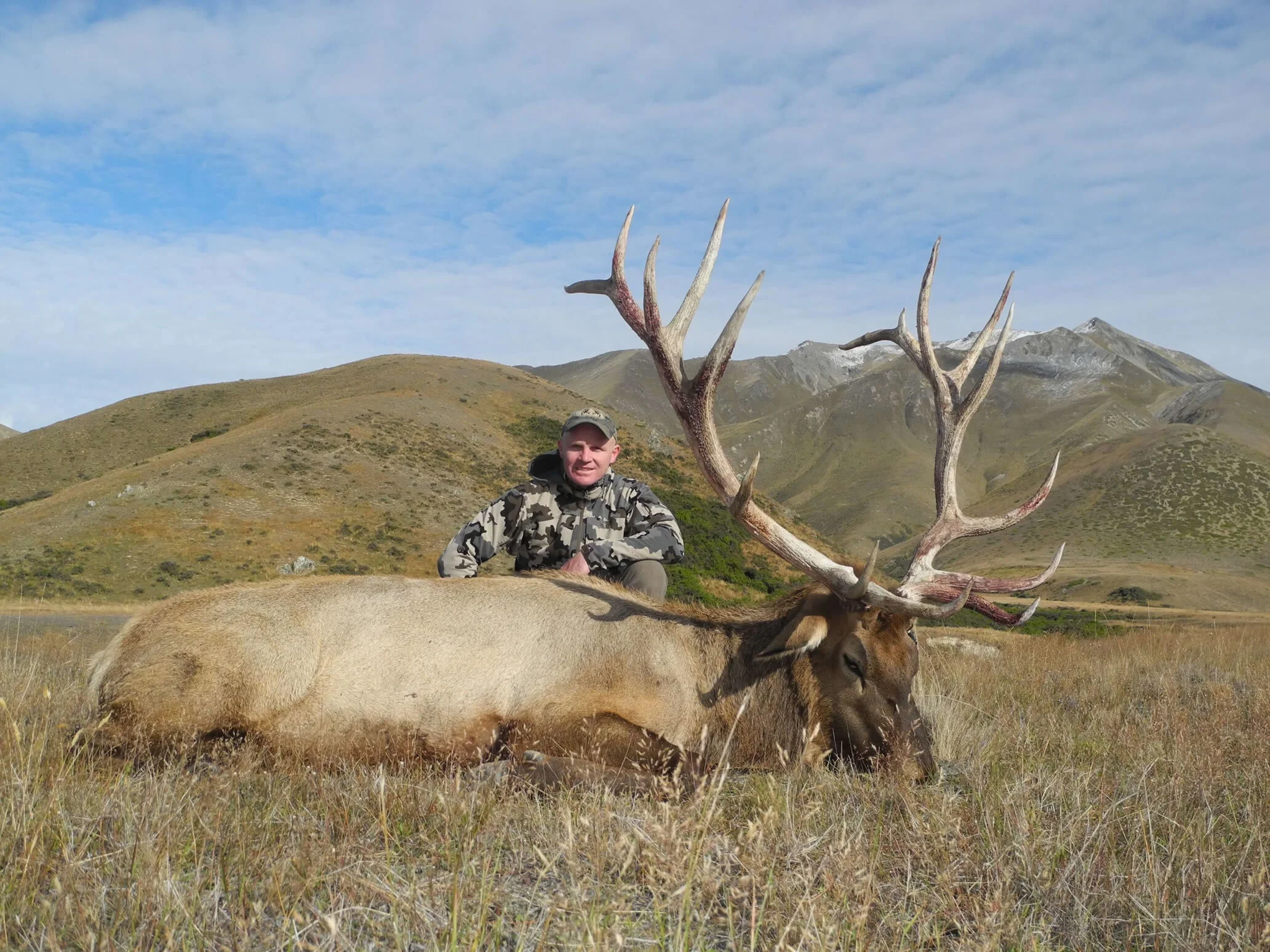 Wapiti / Elk — Exclusive Adventures New Zealand