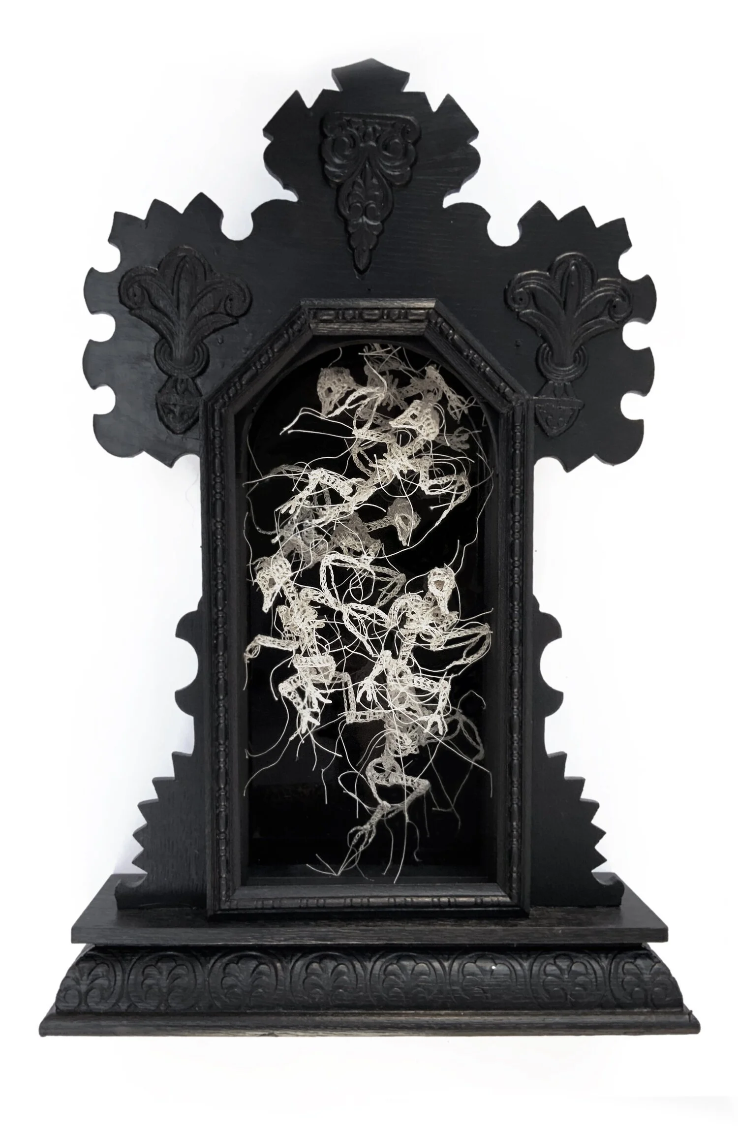 Specimens — Caitlin McCormack