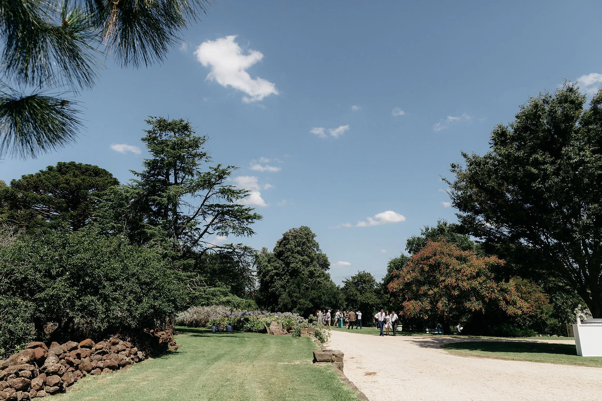 Weddings — Woolbrook