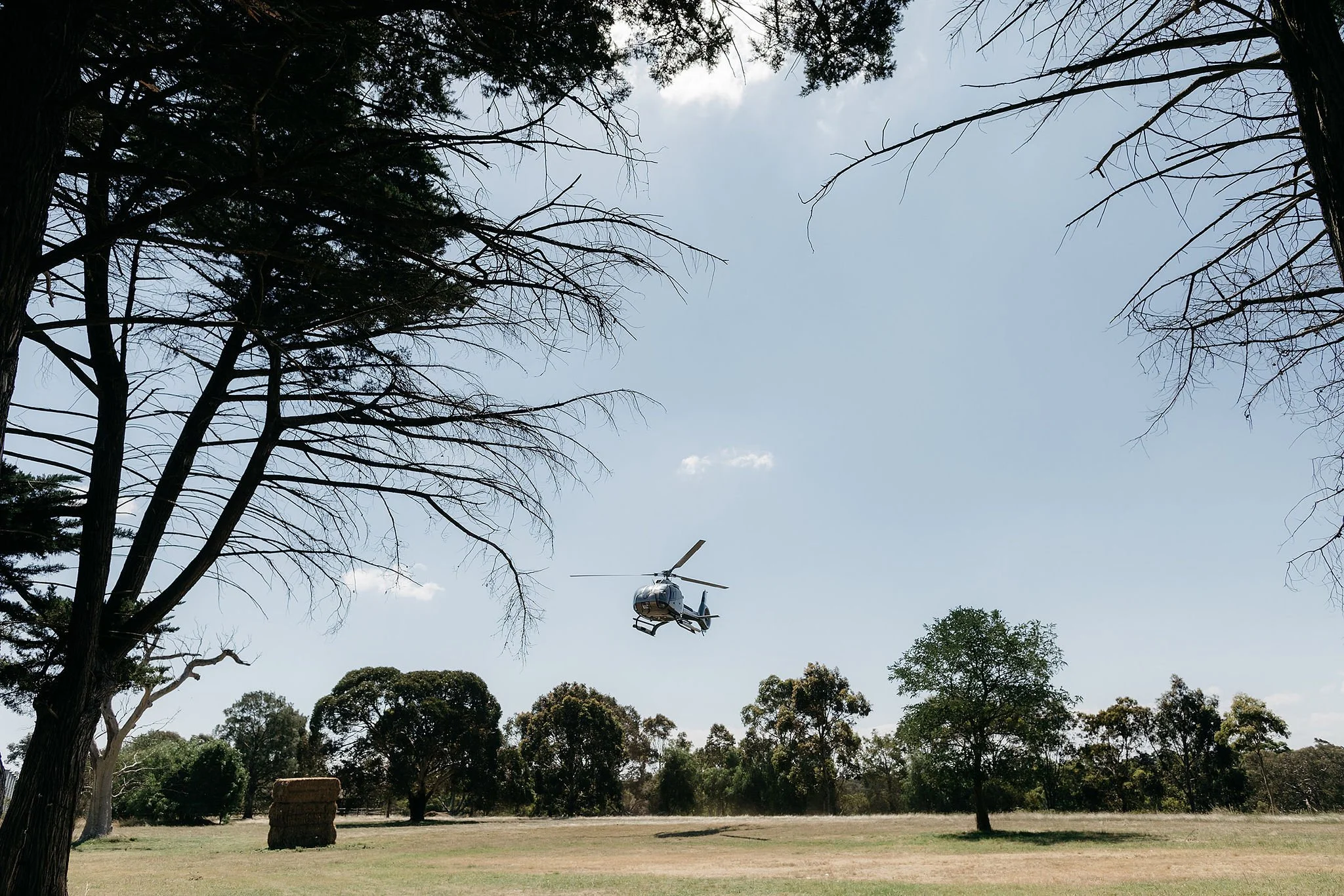 Weddings — Woolbrook