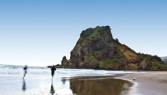 Things To Do In Waitakere - Waitakere Resort & Spa