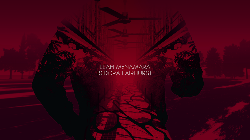 Akitar | Explore My 3D And Photography Work