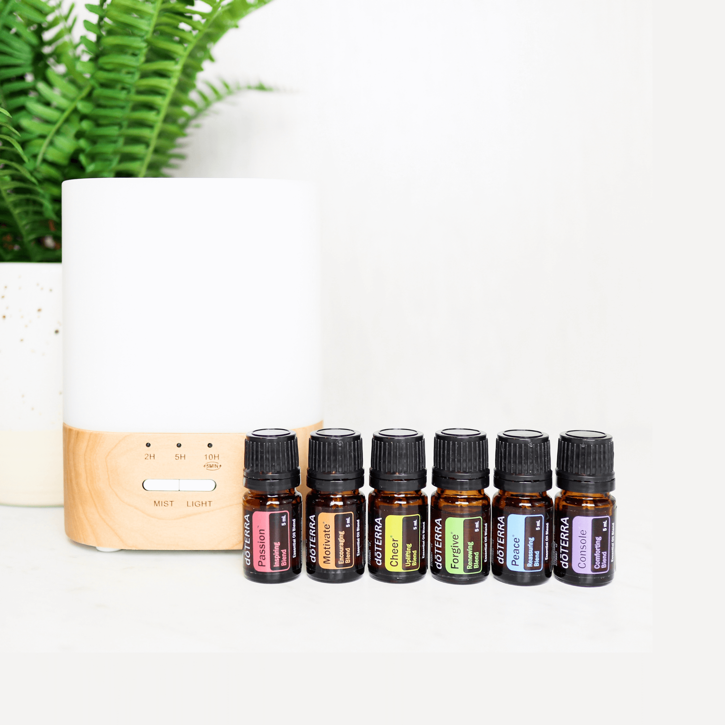 Diffuser Guide — THAT'S LIFE