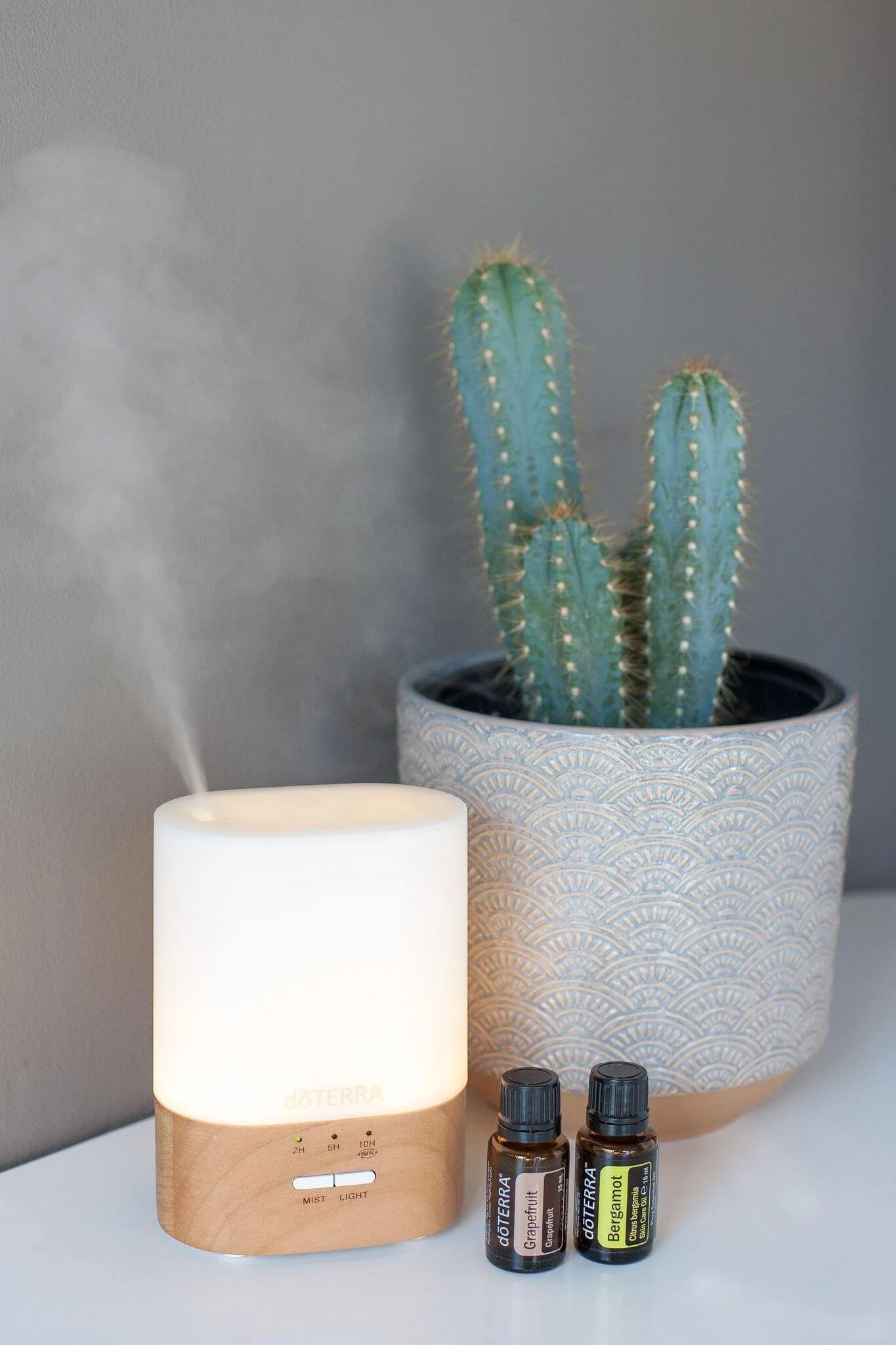 Essential Oils Diffuser Recipes for Every Month of the Year! — THAT'S LIFE
