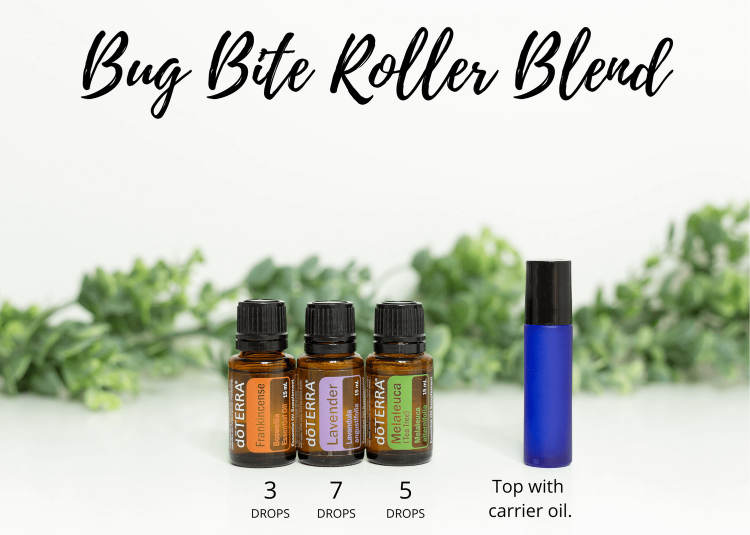 Top Essential Oils for Getting Rid of Bugs and Pests in your Garden and ...