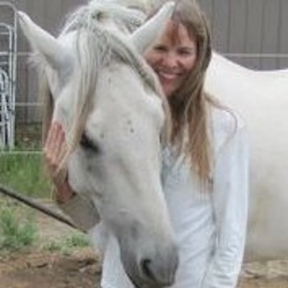 Short Story Judges — History Through Fiction