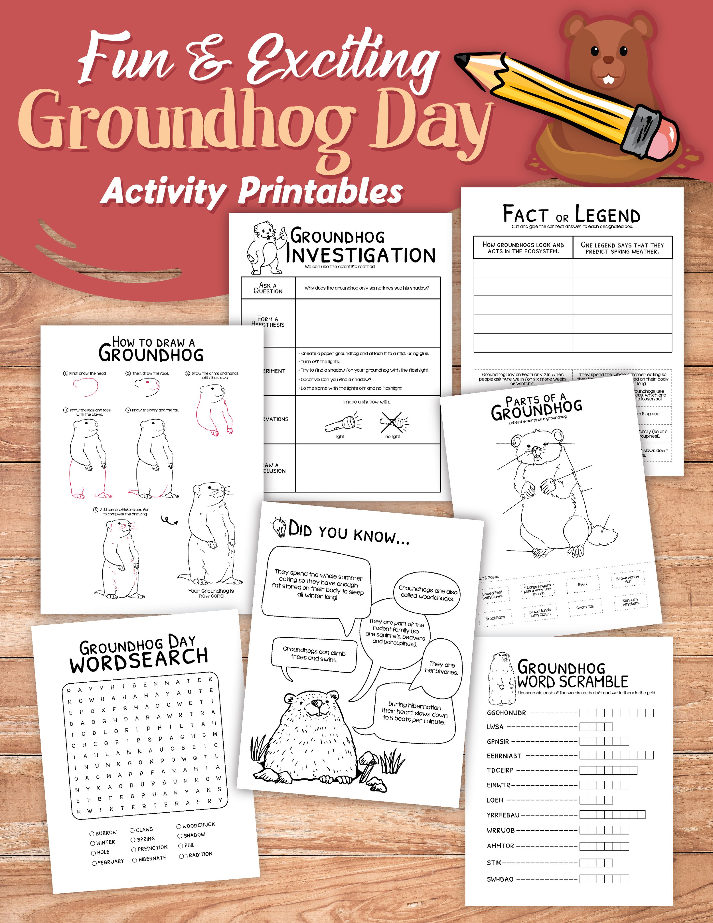 Fun Groundhog Day FREE Printable Activities for Kids — xoxoerinsmith.com