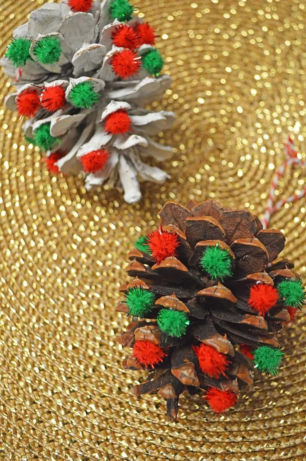 Pinecone Turkey Thanksgiving Craft DIY Ideas for Kids — xoxoerinsmith.com