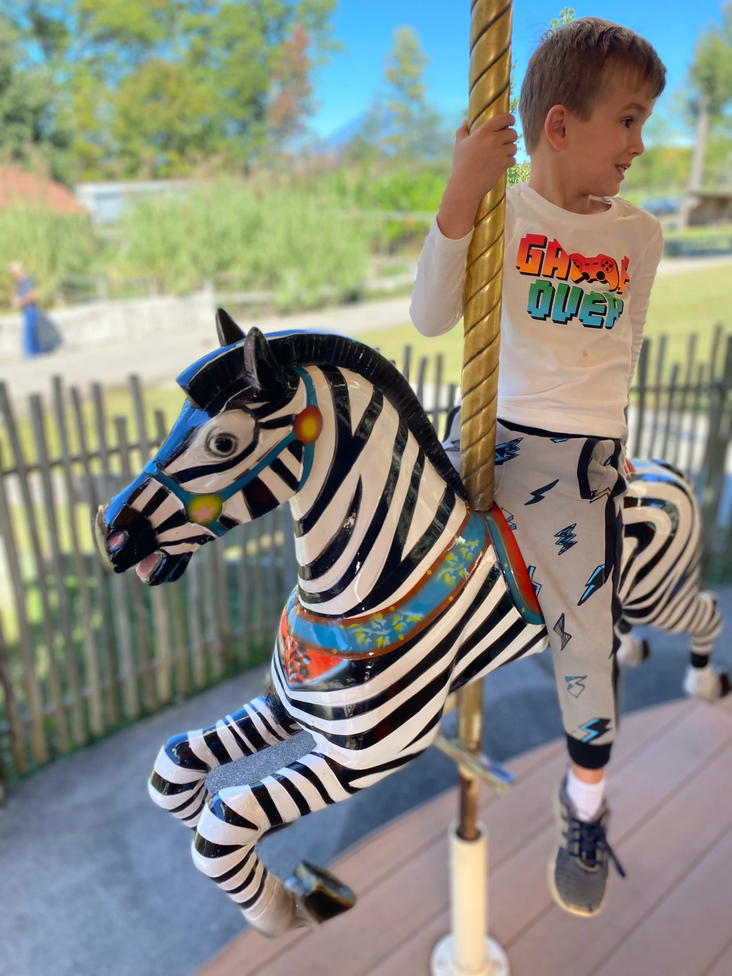 10 Best Family Memberships in Richmond VA — xoxoerinsmith.com