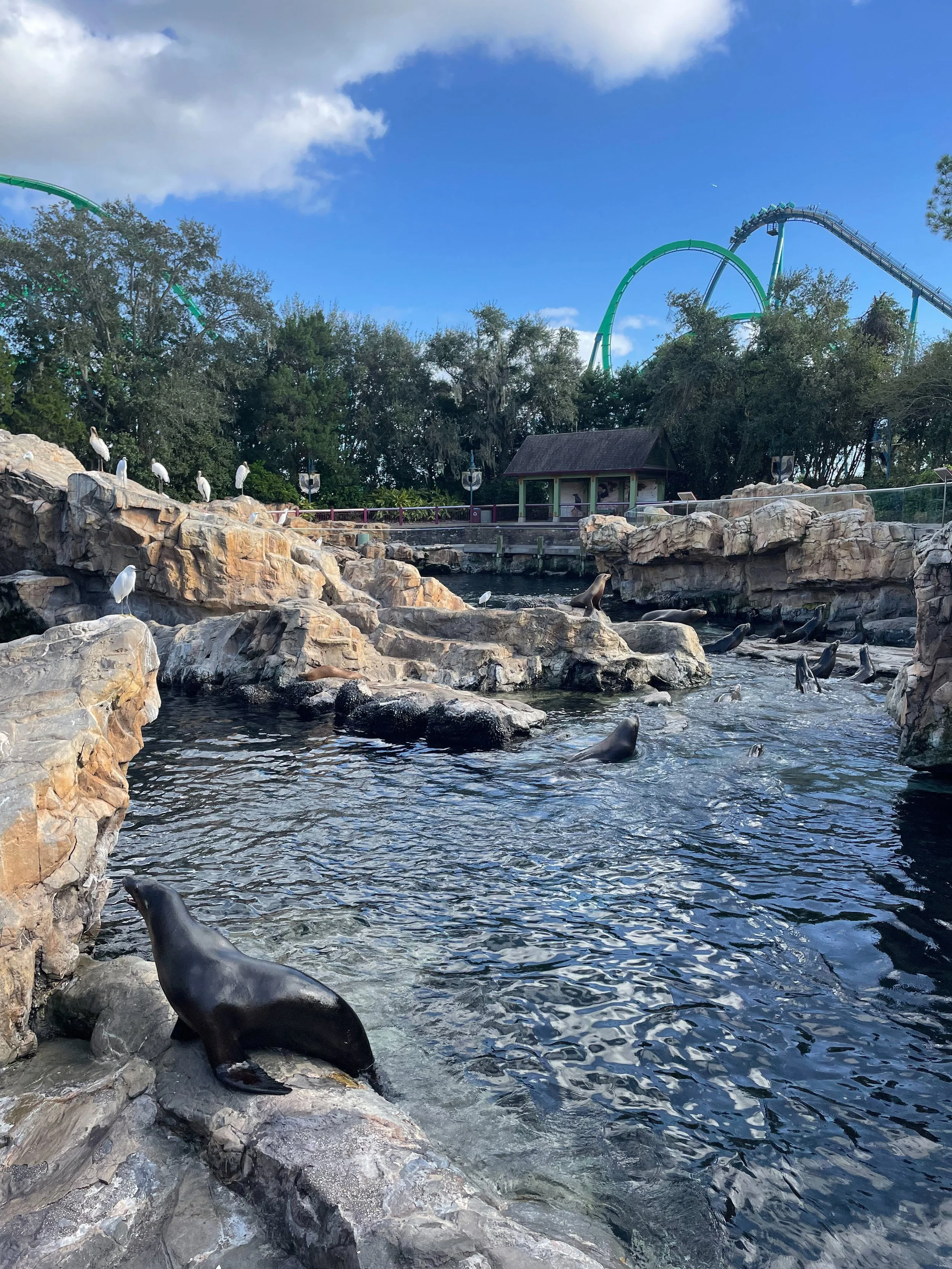 SeaWorld Orlando Best Restaurants and Dining Guide — xoxoerinsmith.com