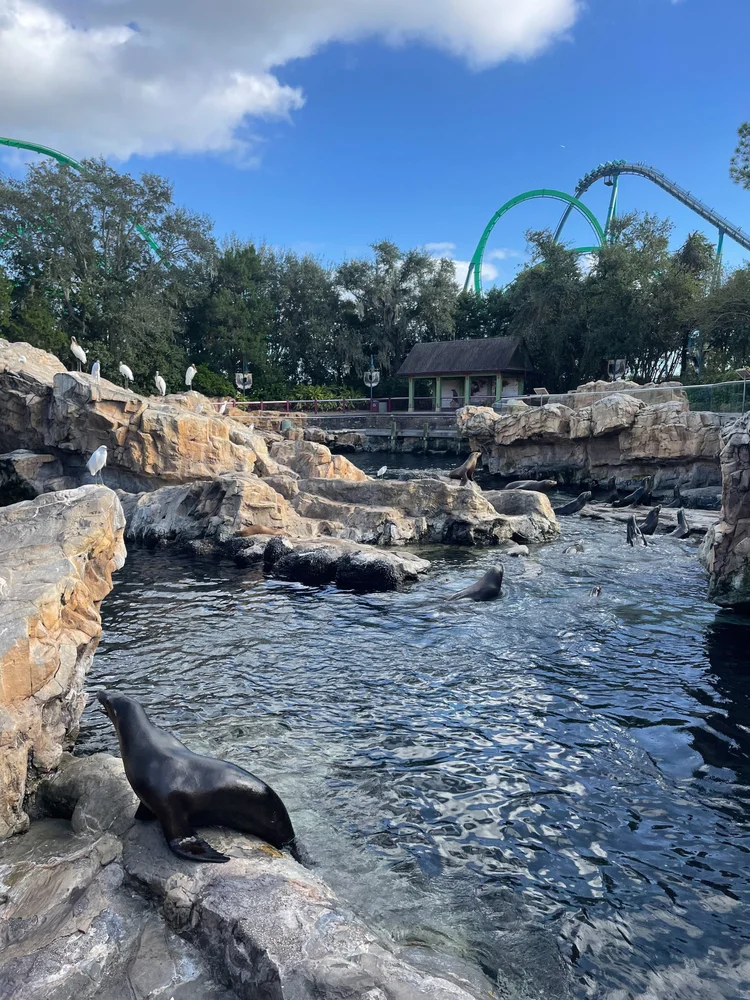 SeaWorld Orlando Best Restaurants and Dining Guide — xoxoerinsmith.com
