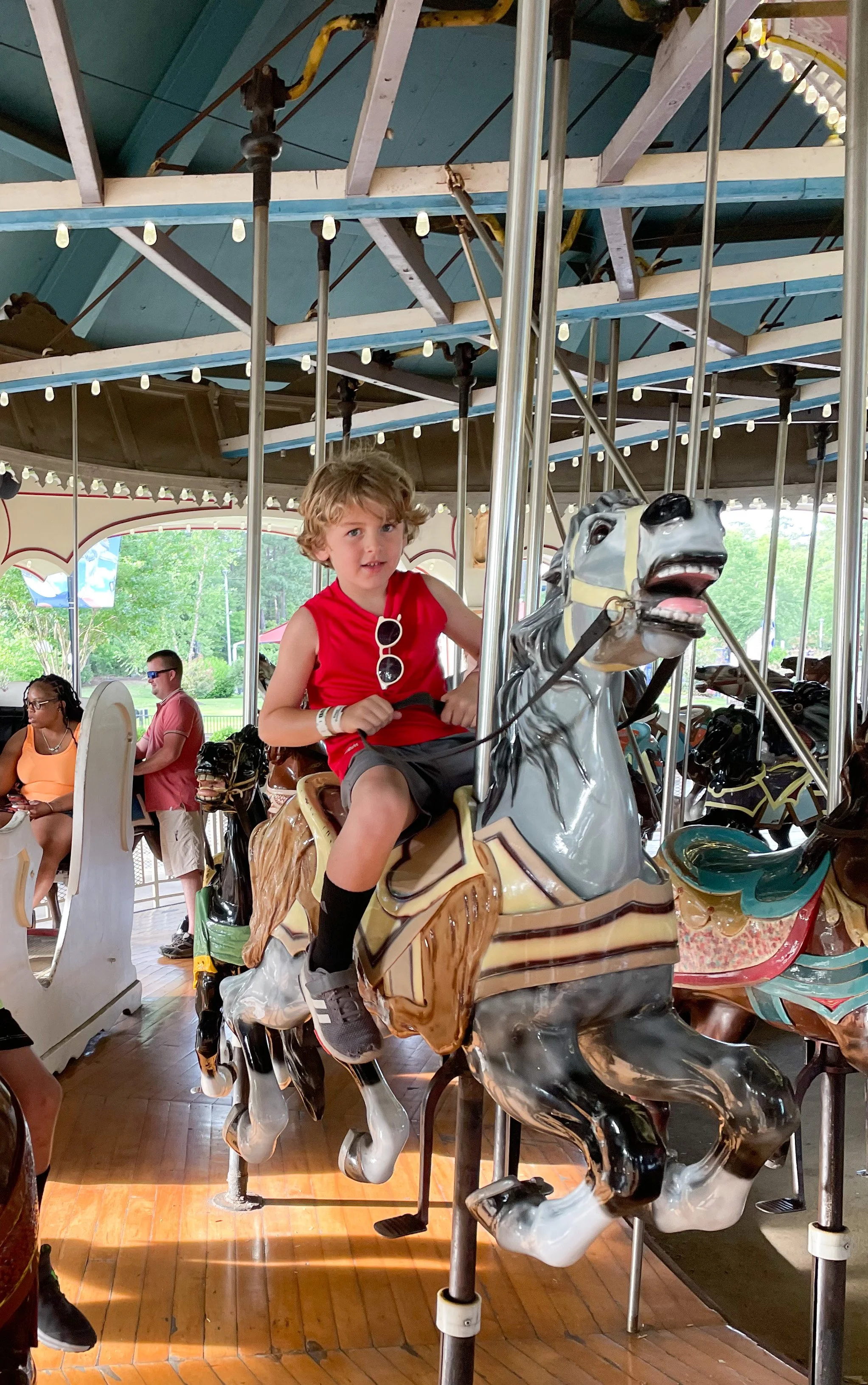 Tips for Visiting Kings Dominion Virginia Park with Kids ...