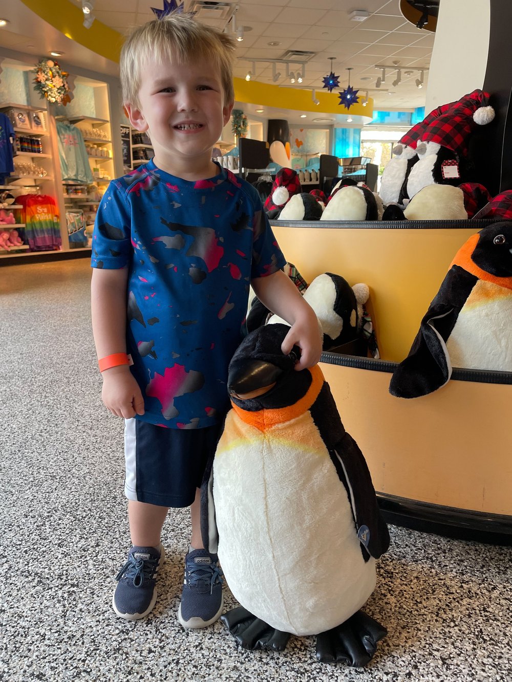 SeaWorld Orlando Tips: What to Wear Guide — xoxoerinsmith.com