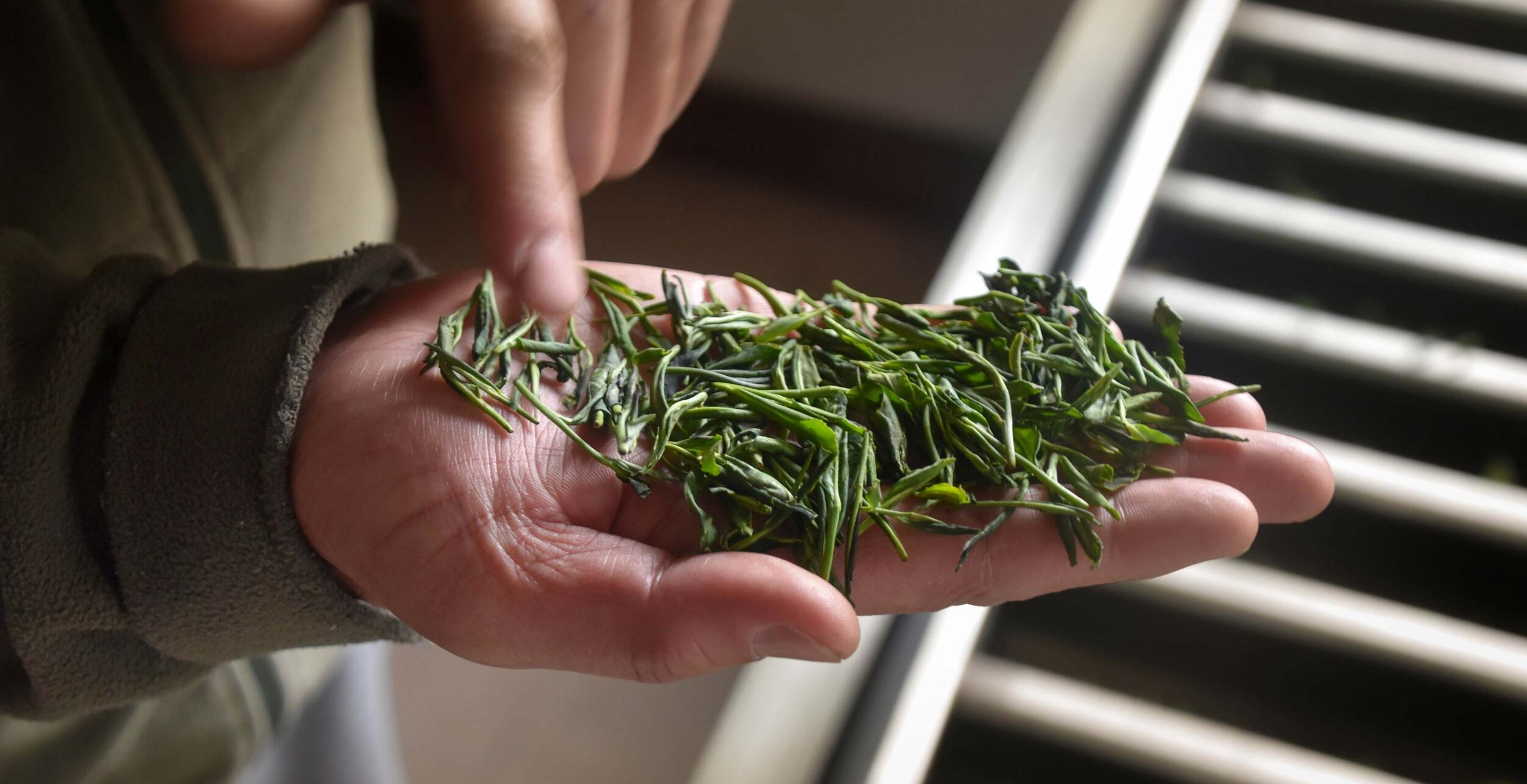 Our Farmers — Jinx Tea