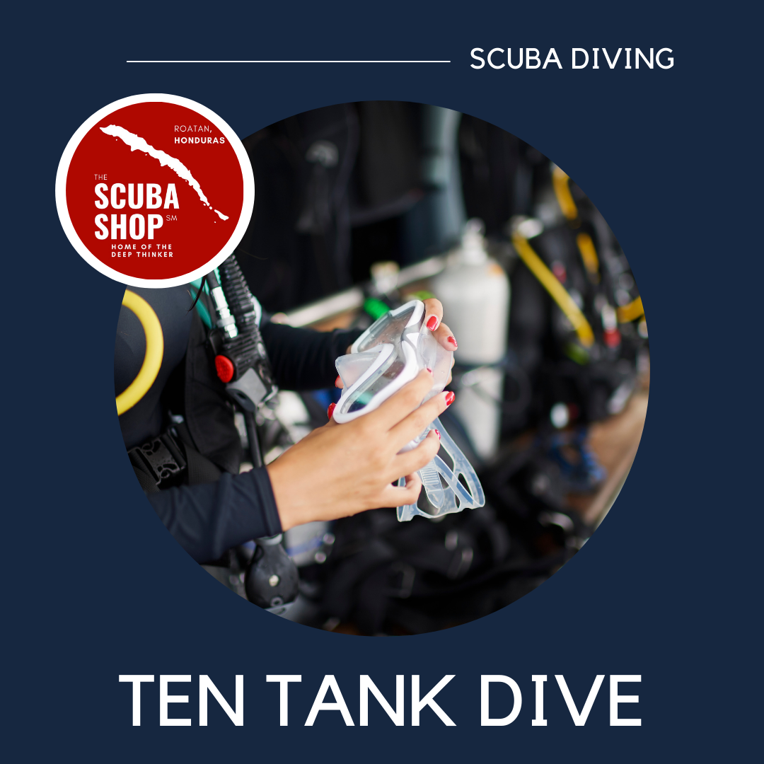 Scuba Shop