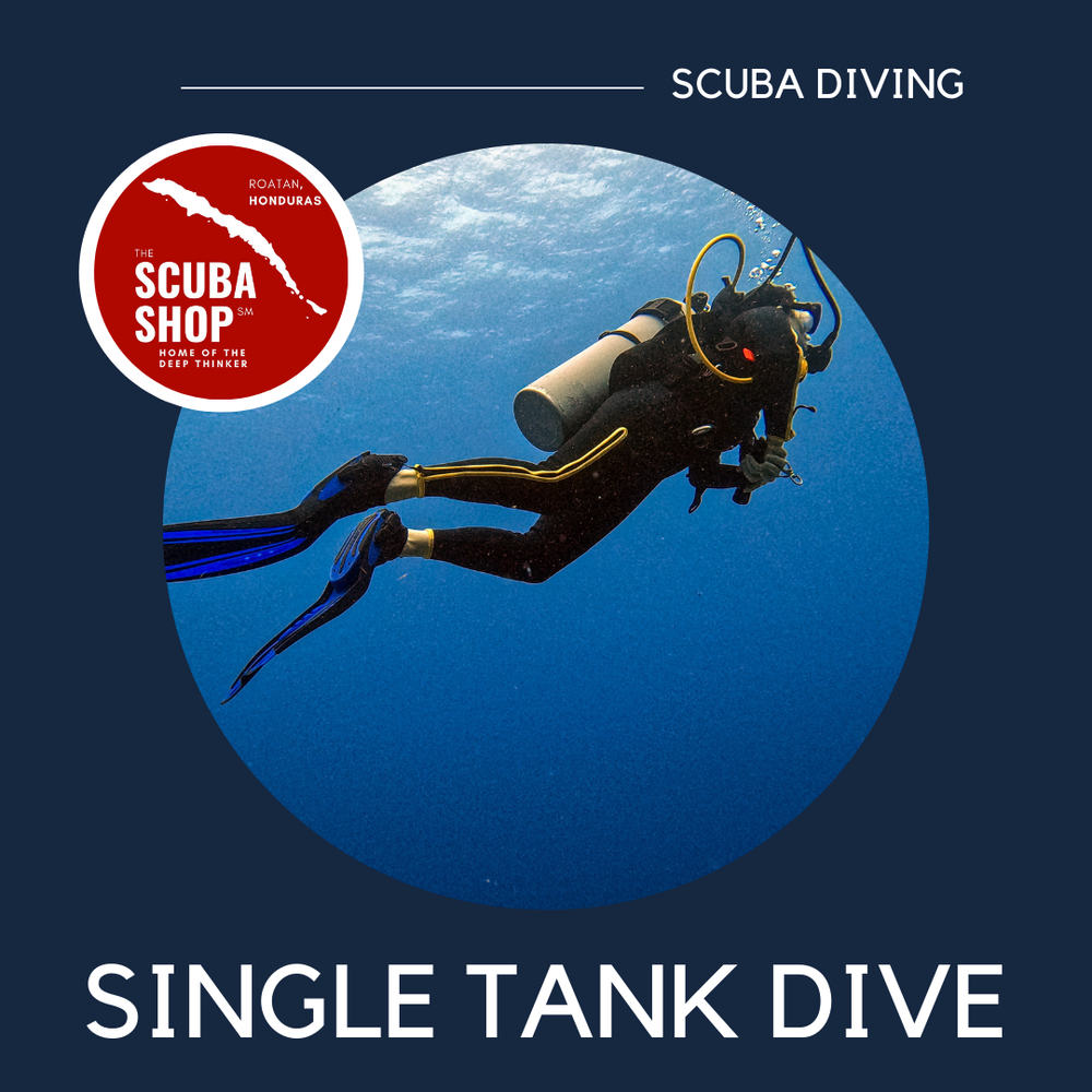 Scuba Shop