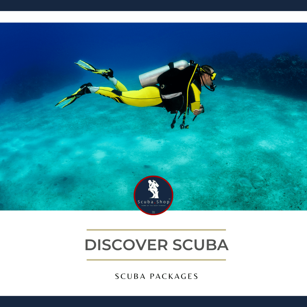 Scuba Shop