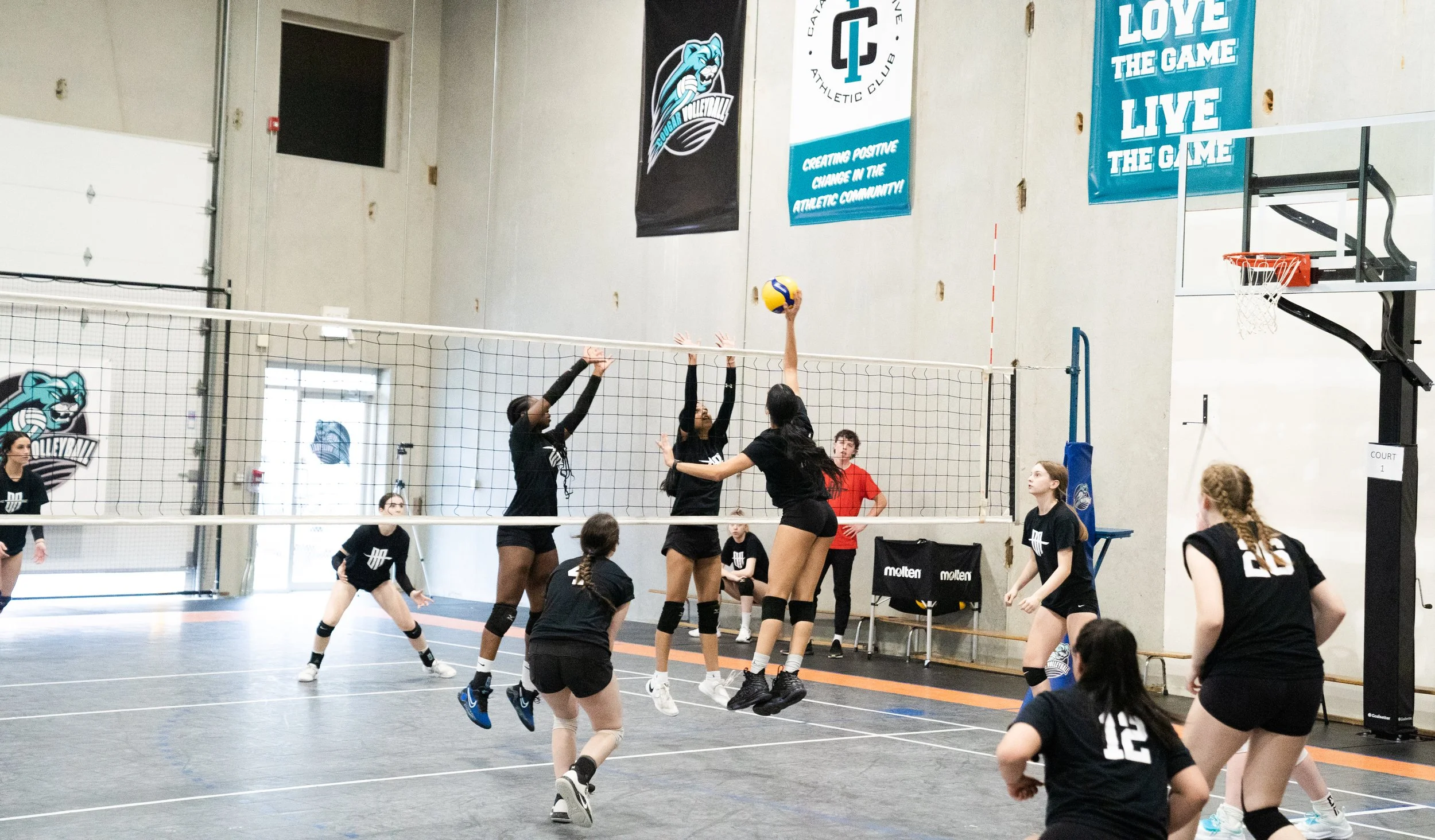 August Elite Training — Cougar Volleyball Club