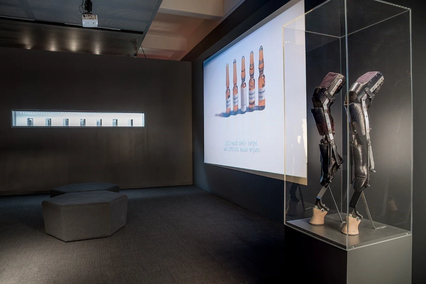 Blood — Science Gallery Melbourne