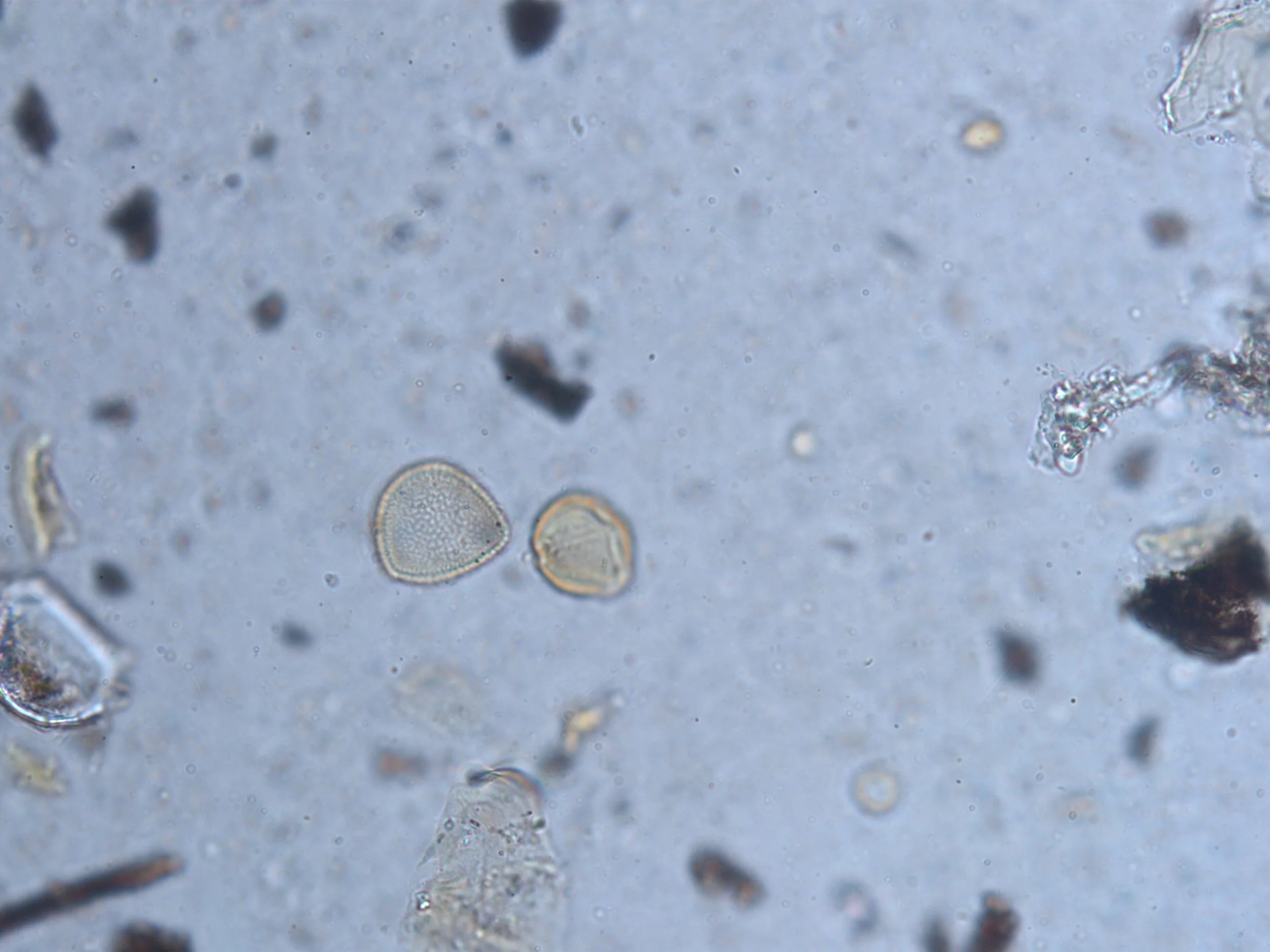 Visit Science Gallery at Melbourne University — Science Gallery Melbourne