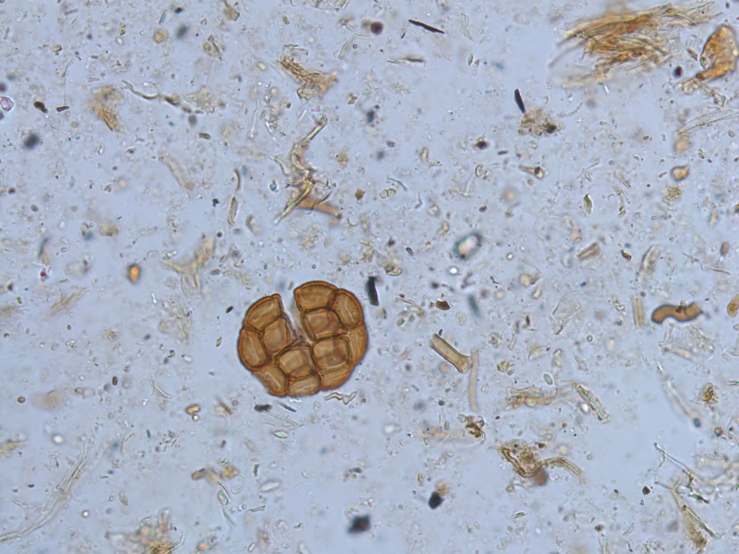 Visit Science Gallery at Melbourne University — Science Gallery Melbourne