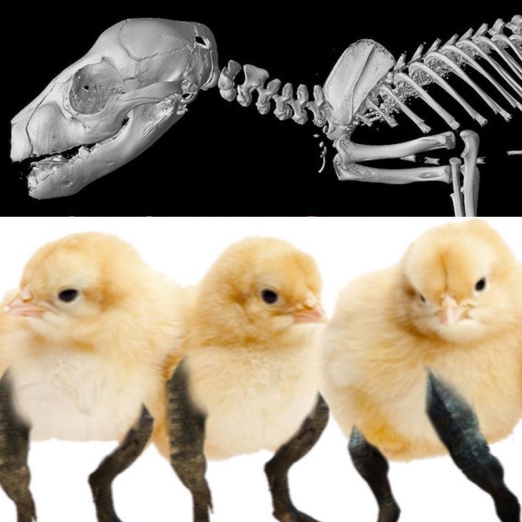 2024 Excursions Display Page — Science Gallery Melbourne