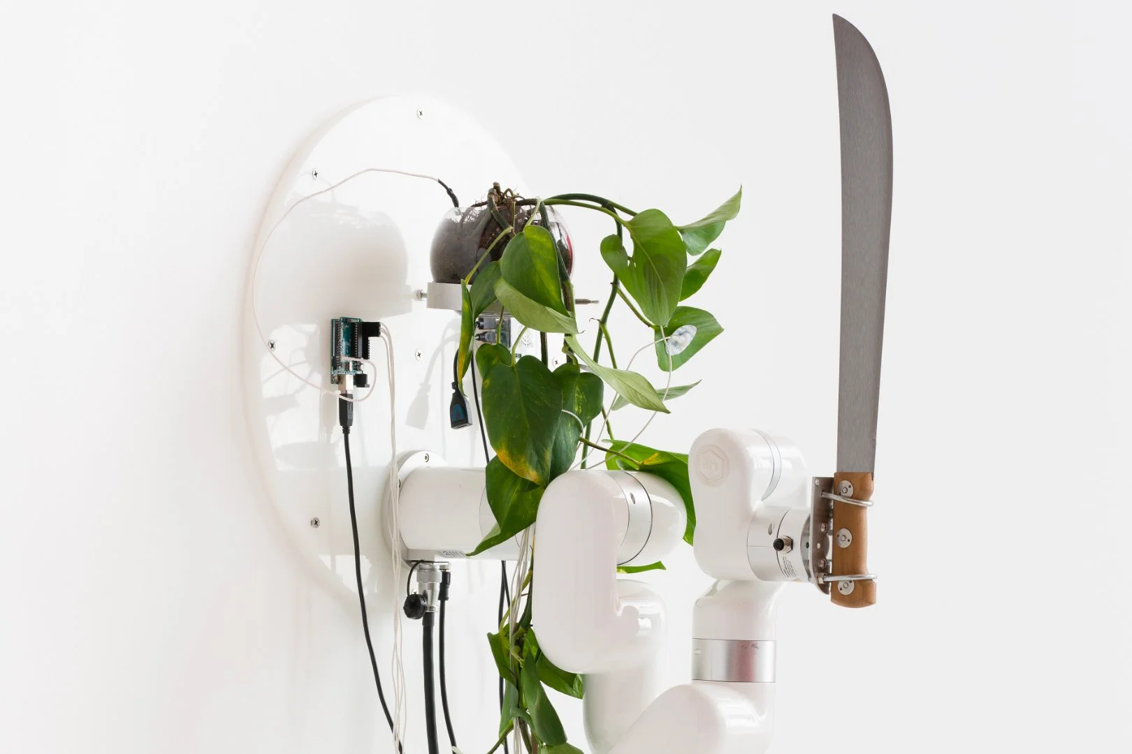 Plant Machete by David Bowen | NOT NATURAL — Science Gallery Melbourne