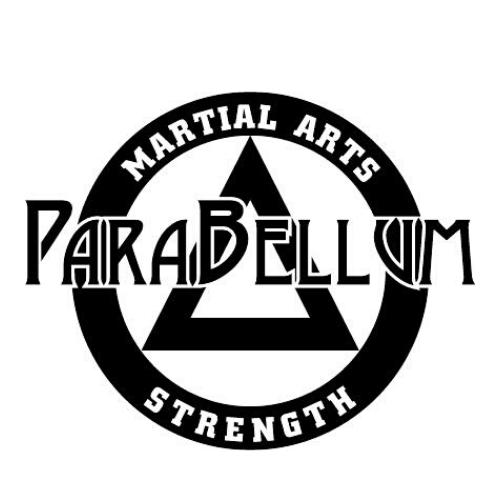 Adult Martial Arts — Parabellum Martial Arts & Strength