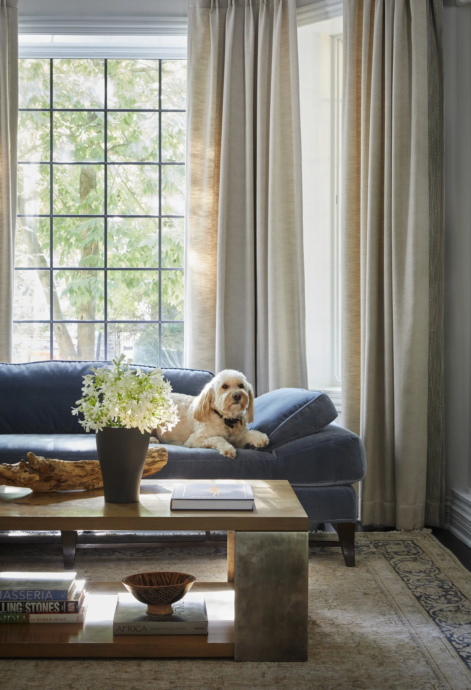 Five Must-Have Coffee Table Books (And How to Style Them) — Amy ...