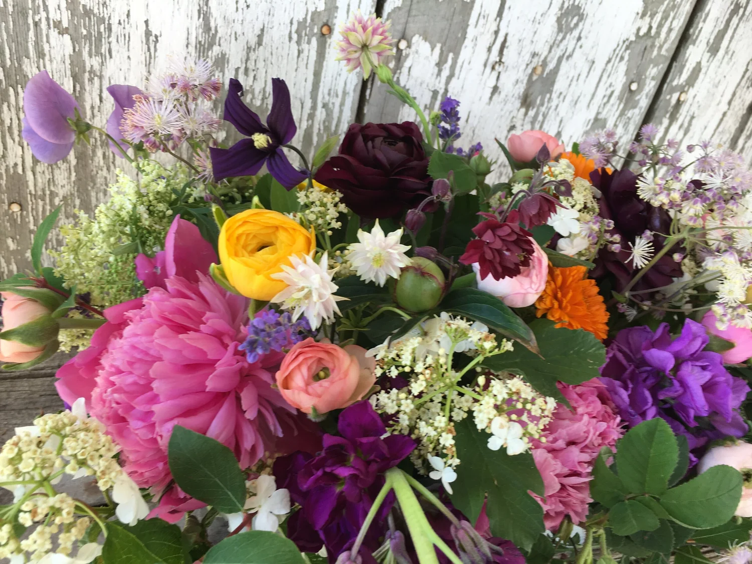Flower CSA — Zephyros Farm & Garden