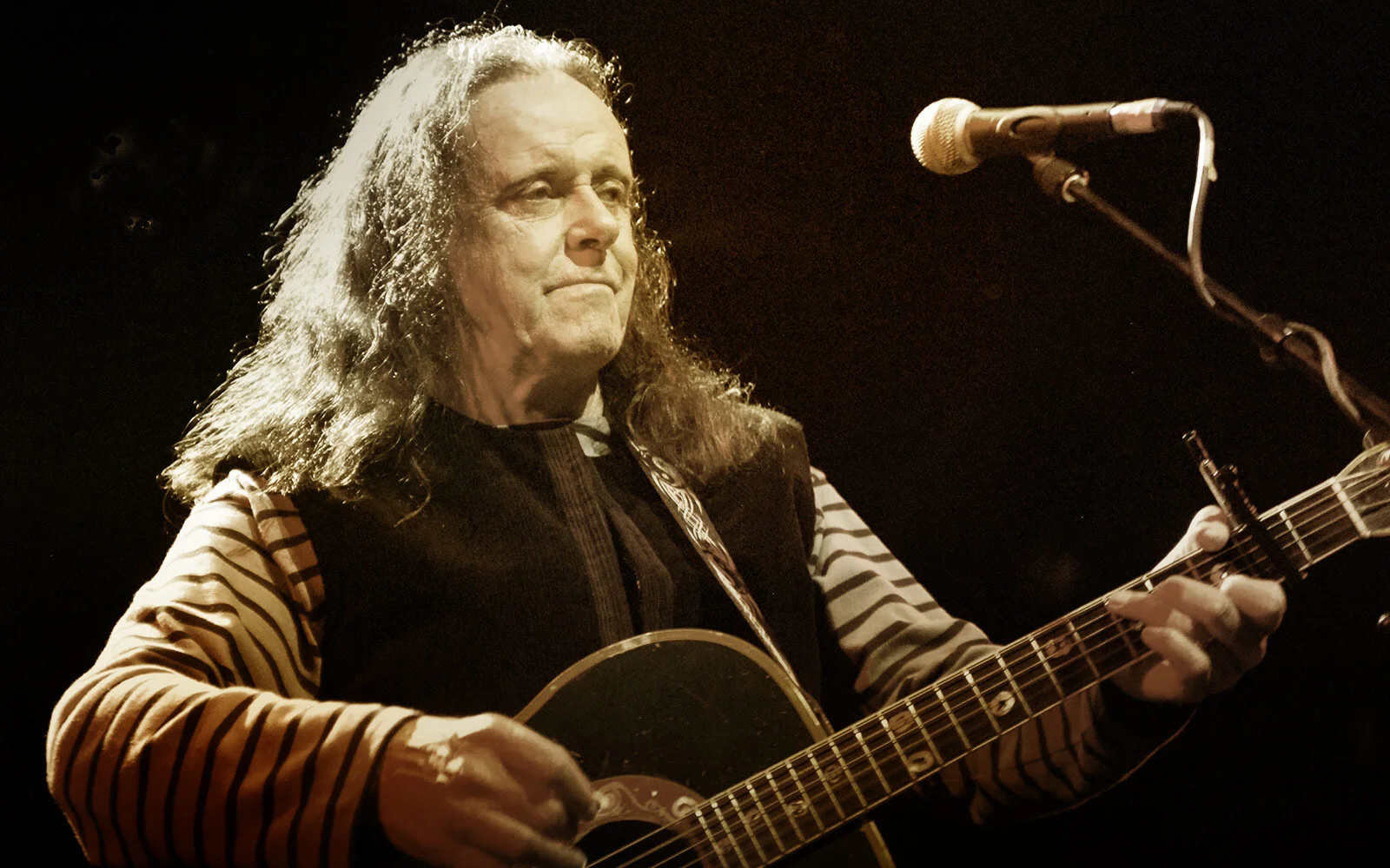 Donovan — Bellinzona Beatles Days