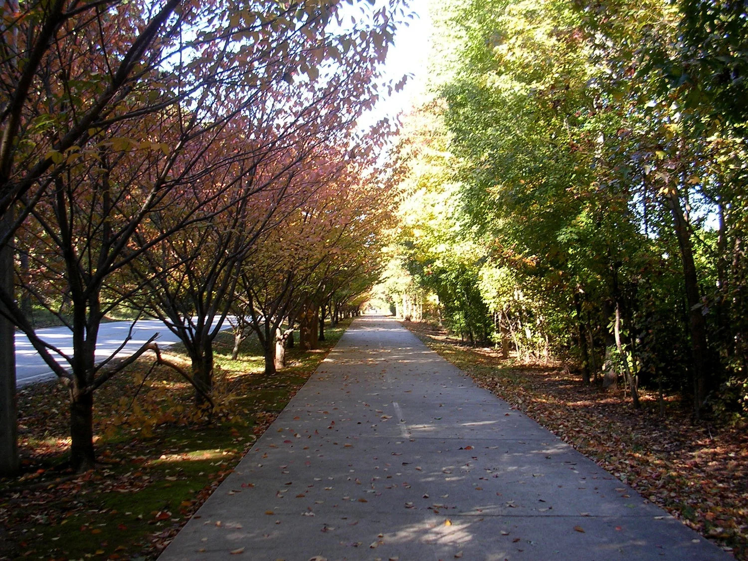 Stone Mountain Trail — PATH Foundation