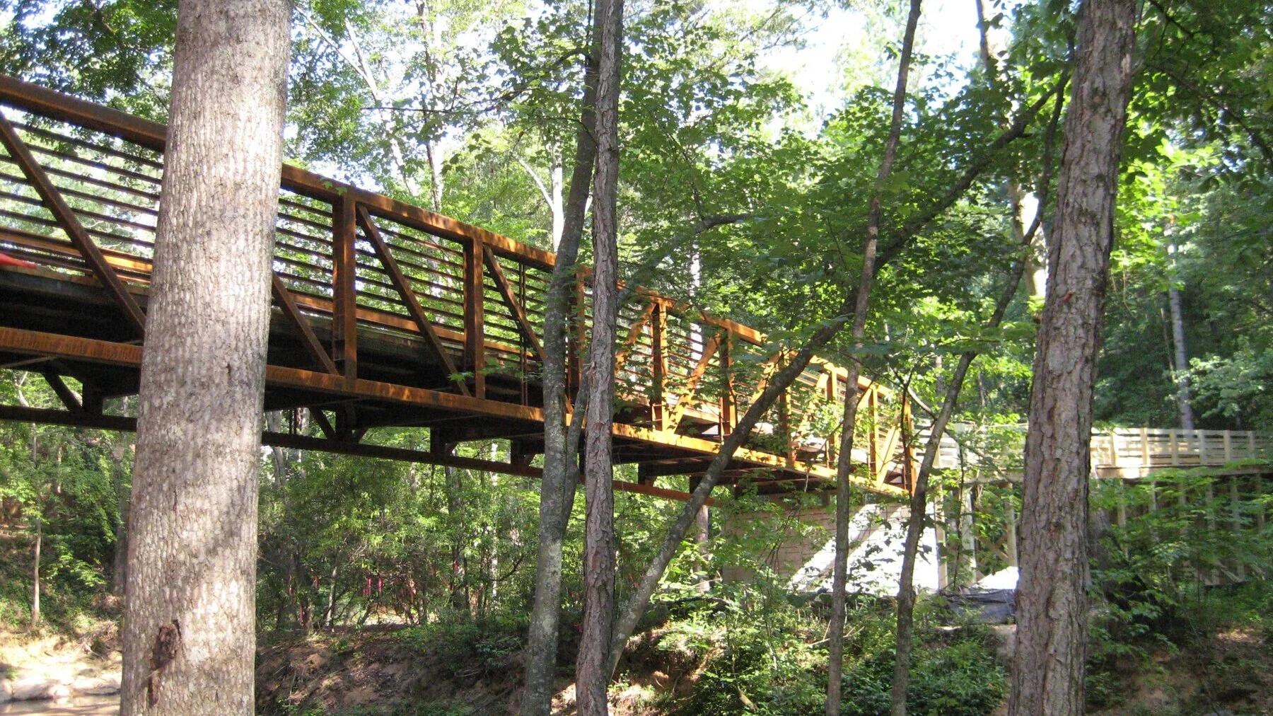 Our Story — PATH Foundation