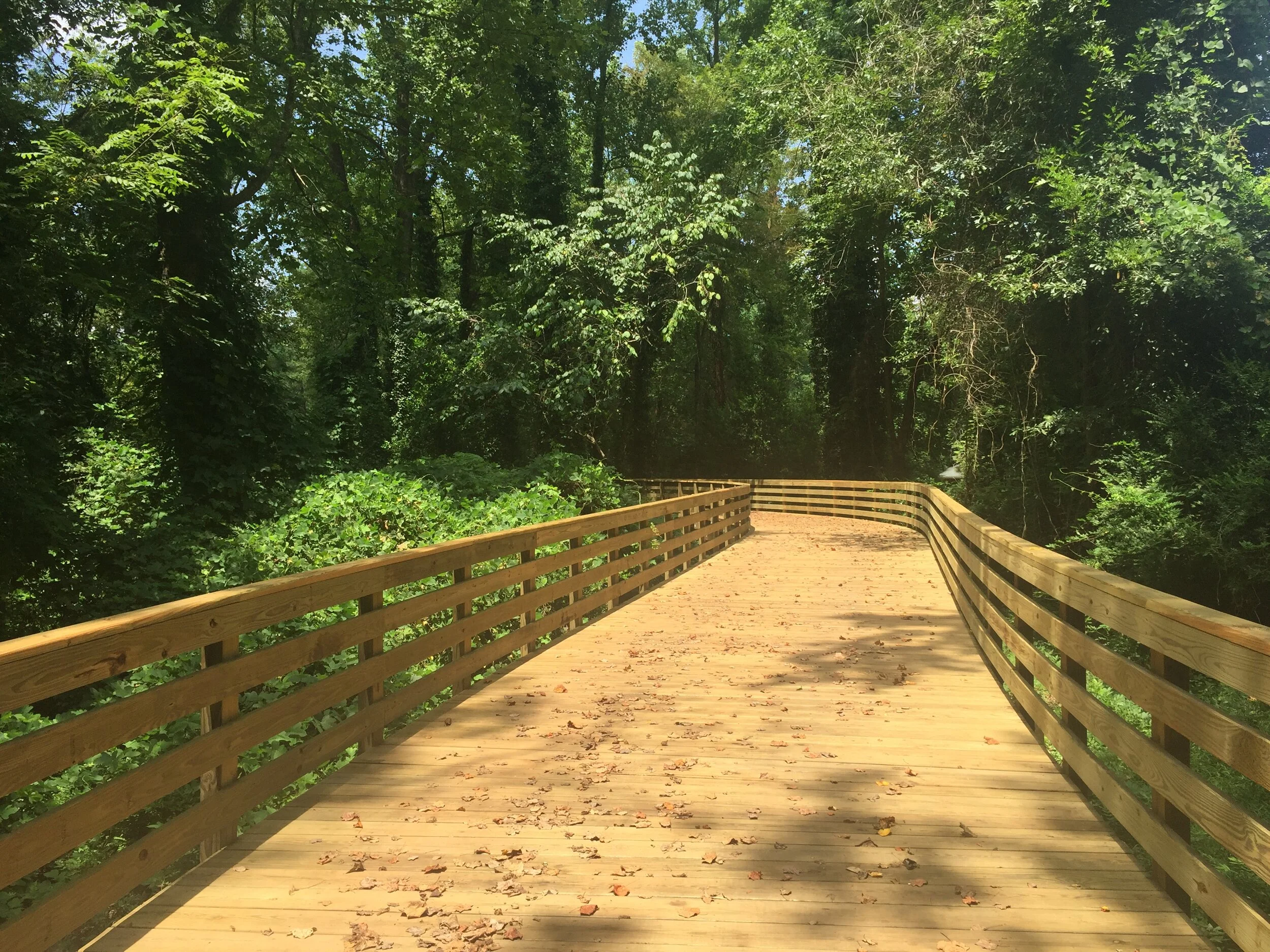 LaGrange - The Thread — PATH Foundation