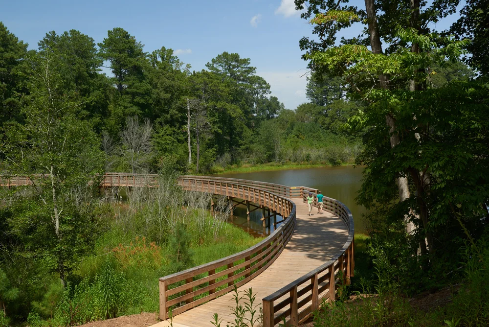 Arabia Mountain PATH — PATH Foundation