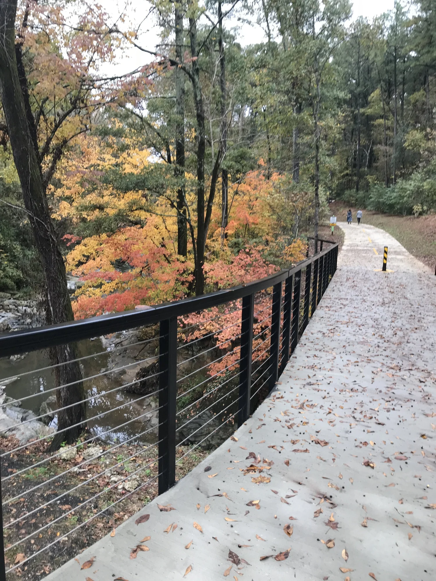 Proctor Creek Greenway — PATH Foundation