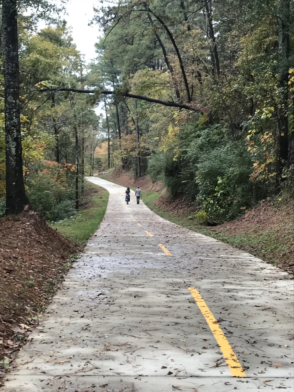 Proctor Creek Greenway — PATH Foundation
